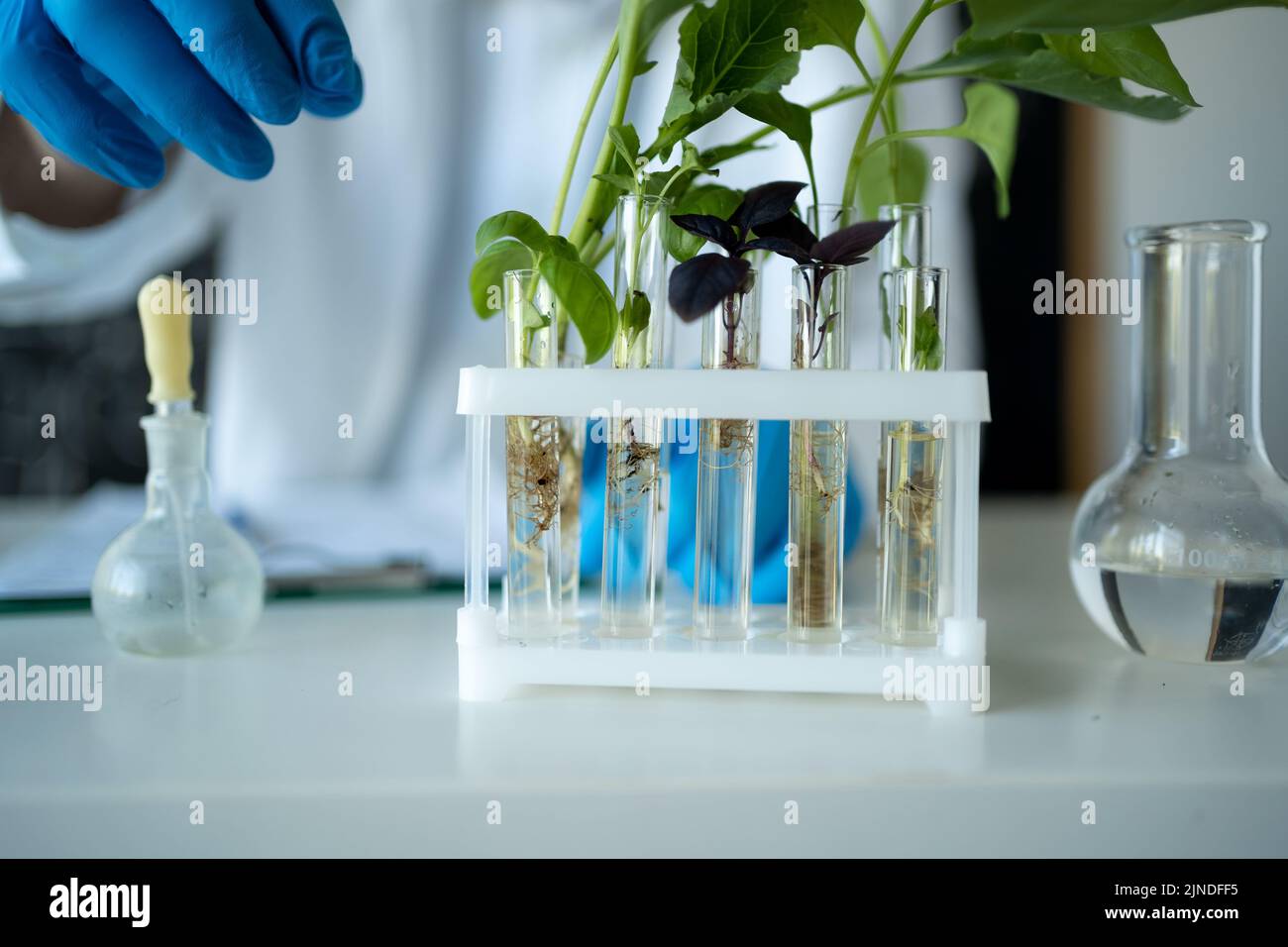 cropped view of biochemist in latex gloves touching test tube with ...