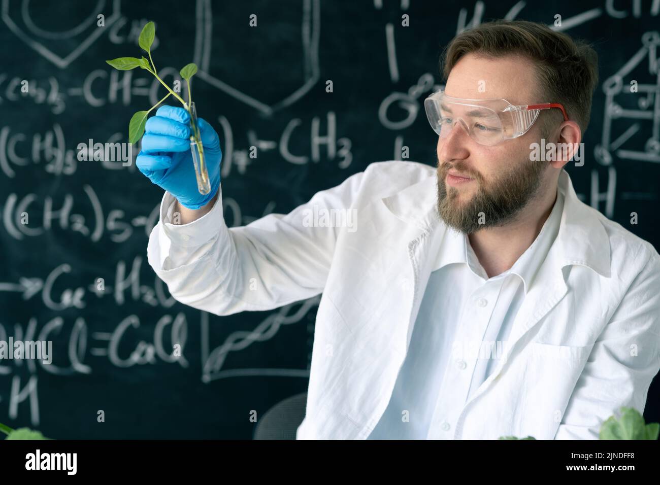 Male microbiologist working in laboratory examining plants in test tube ...