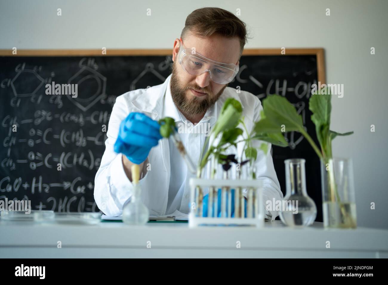 biochemist in latex gloves touching test tube with small plant while ...