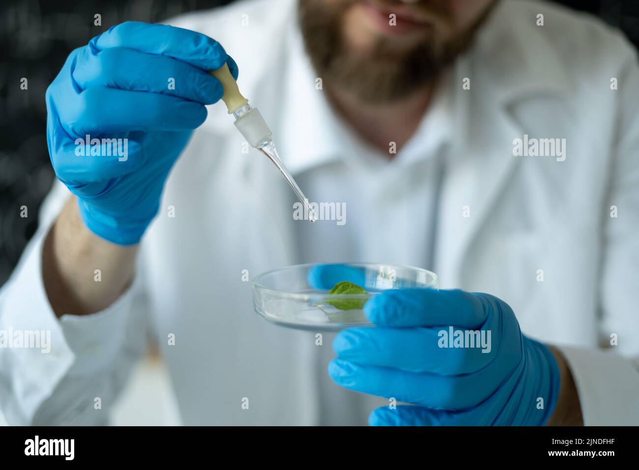 close-up of a male researcher conducting experiments in a modern ...