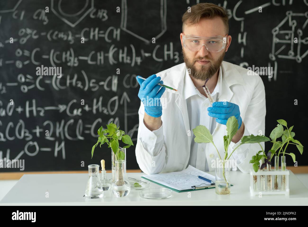 In A Modern Laboratory Scientist Injects In Plant With A Syringe He Working On A Genetic