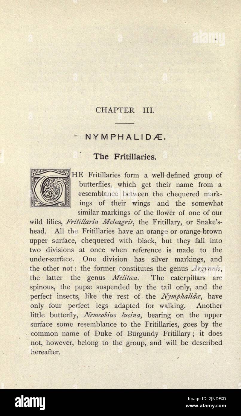 The book of British butterflies (Page 74 Stock Photo - Alamy