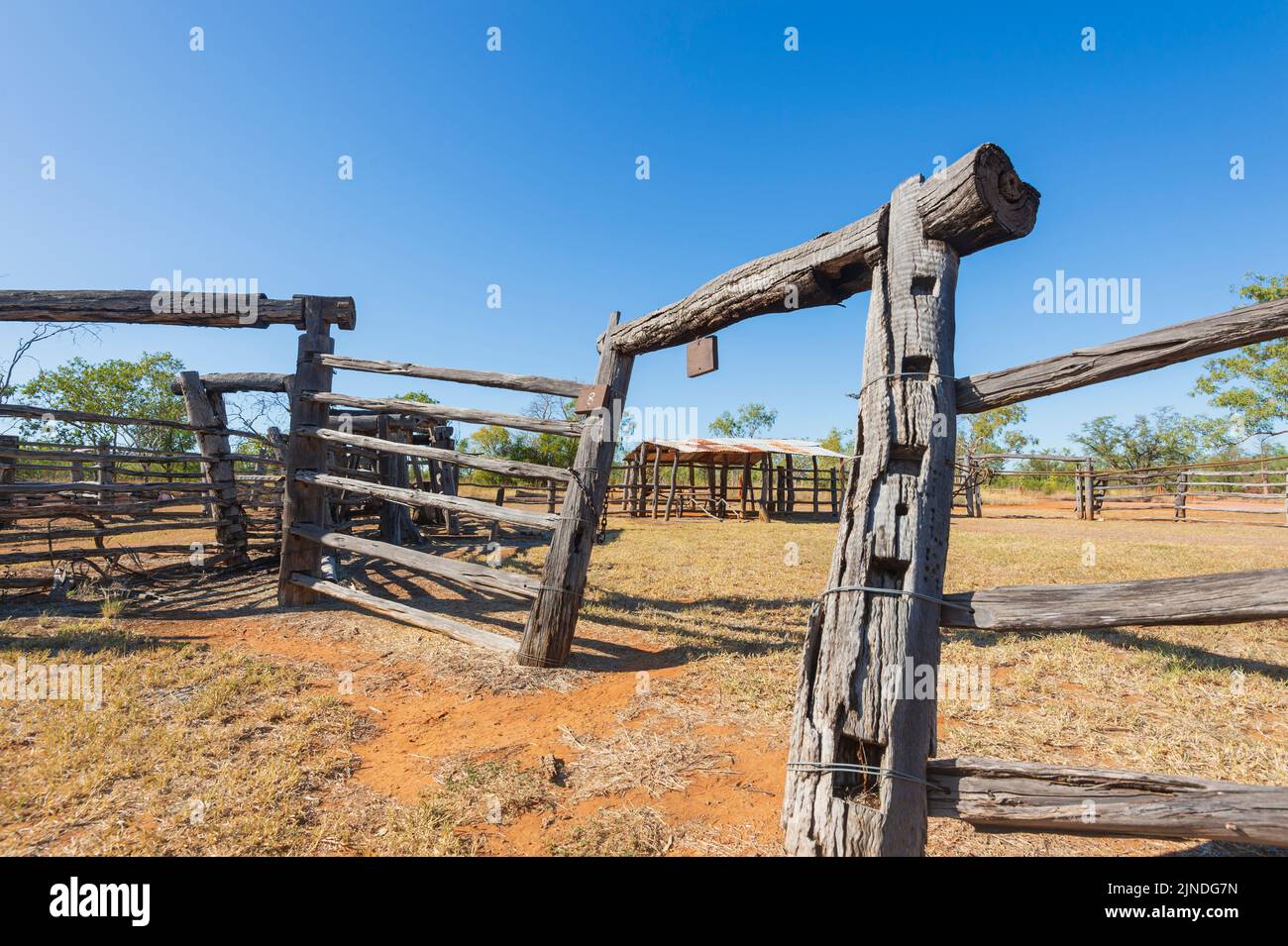 Old stockyards built in the 1950s made with local Lancewood and ...