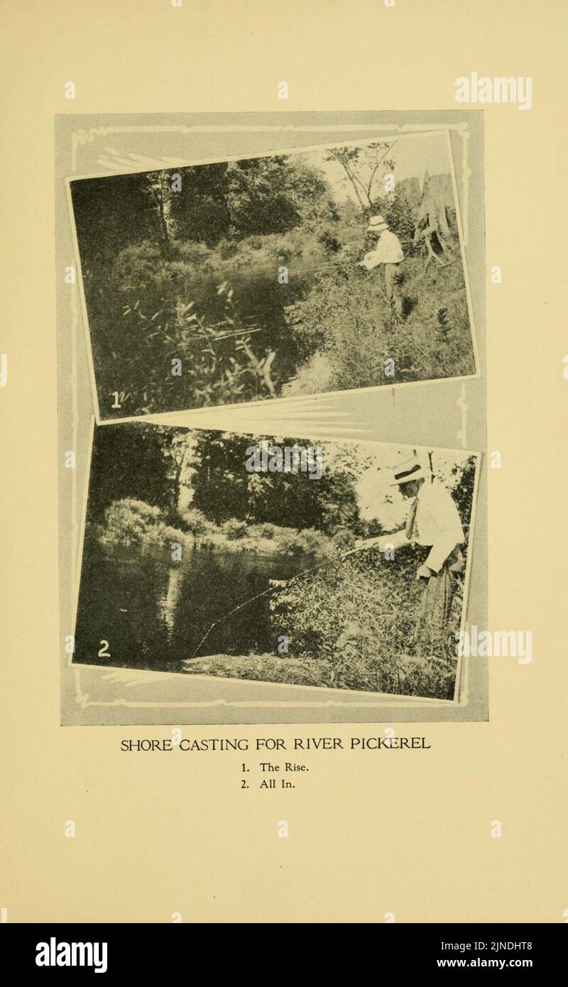 The book of the pike (Plate- Photographs Stock Photo - Alamy