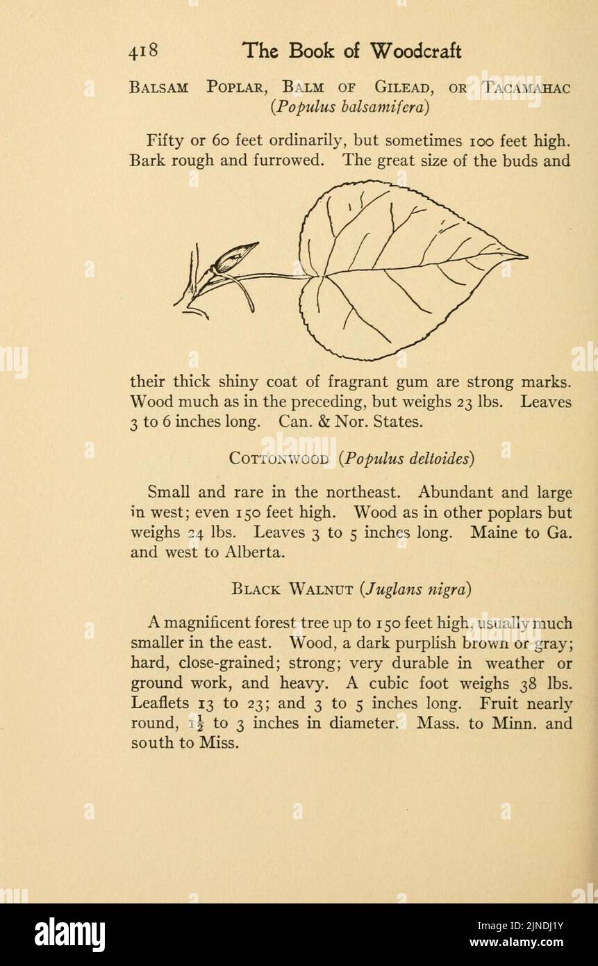 The book of woodcraft and Indian lore (Page 418 Stock Photo - Alamy