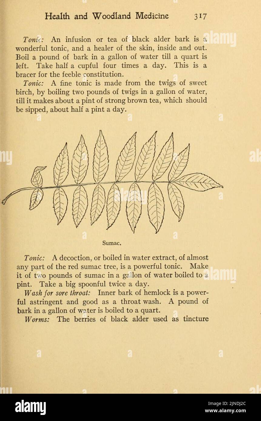 The book of woodcraft and Indian lore (Page 317 Stock Photo - Alamy