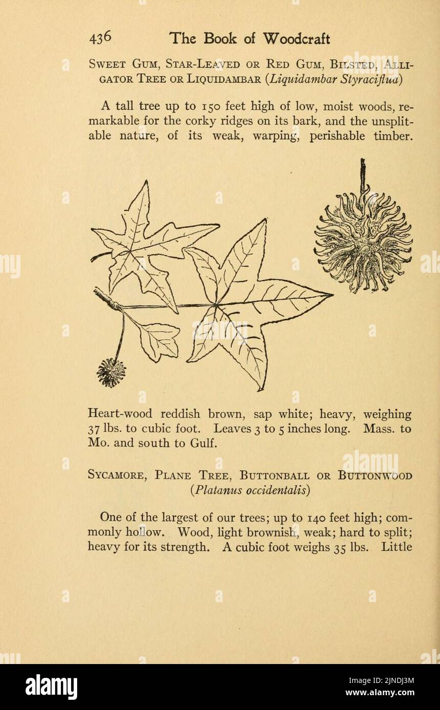 The book of woodcraft and Indian lore (Page 436 Stock Photo - Alamy