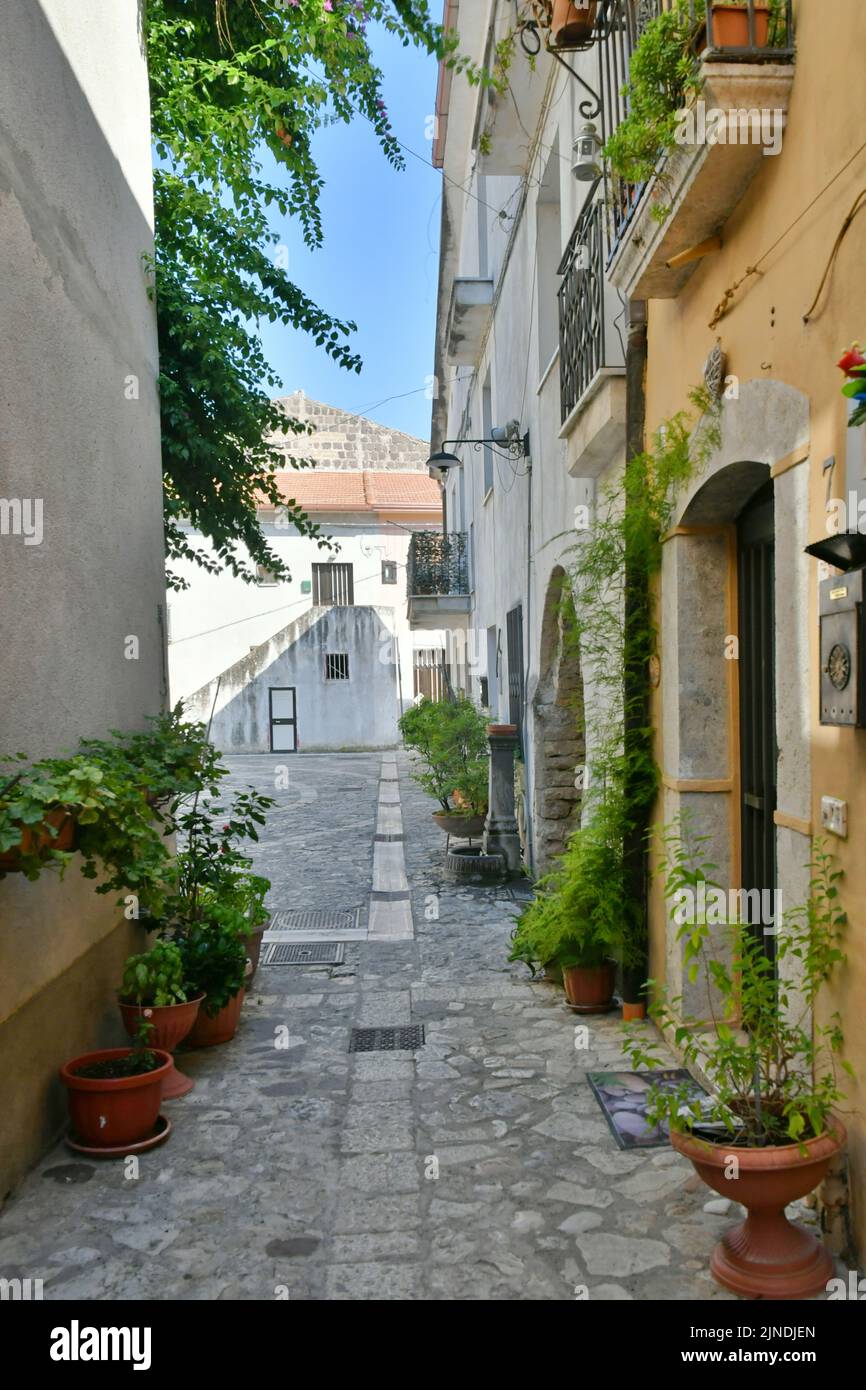 A narrow street in Castelvenere, a medieval village in the province of ...