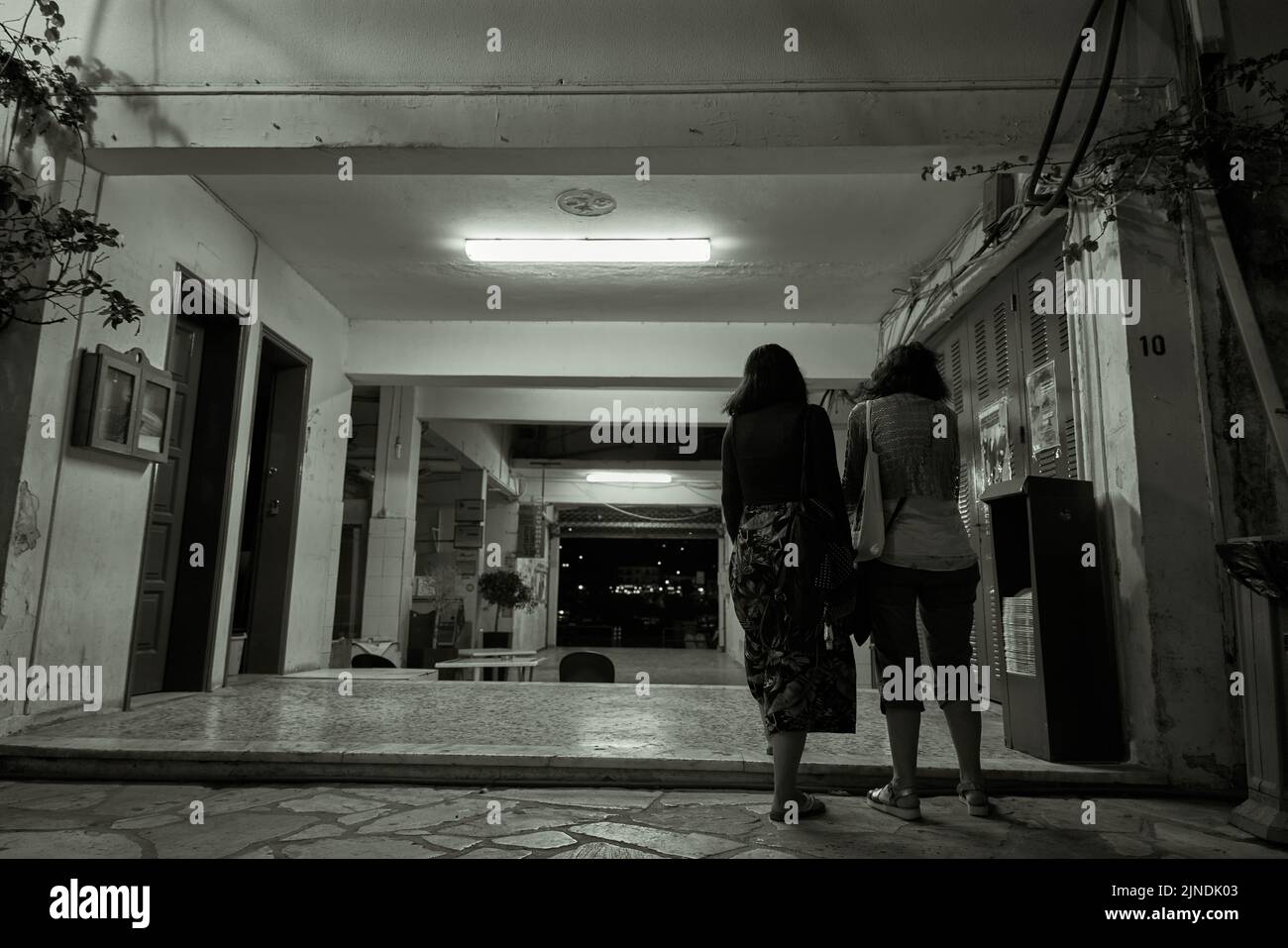 A back view of two females waiting near the entry of the building in ...