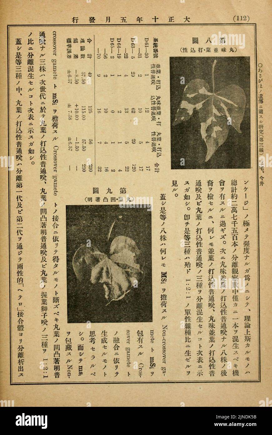 The botanical magazine = (Page 112 Stock Photo - Alamy