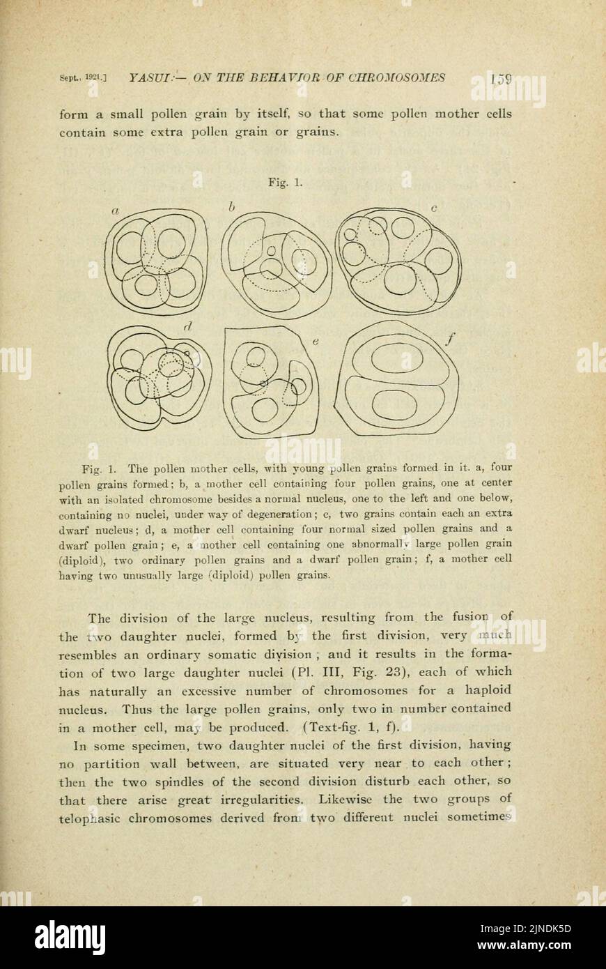 The botanical magazine = (Page 159 Stock Photo - Alamy