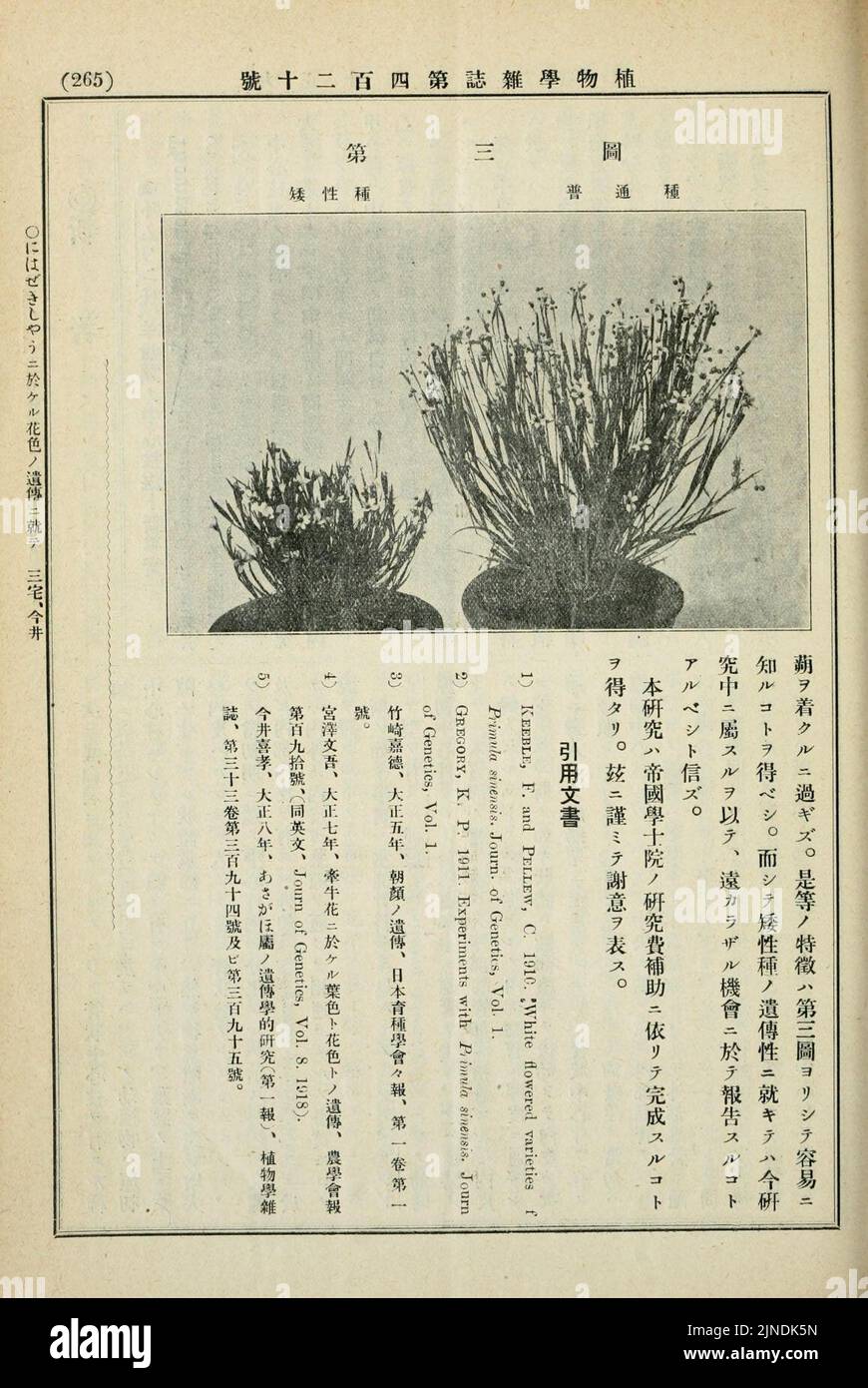 The botanical magazine = (Page 265 Stock Photo - Alamy