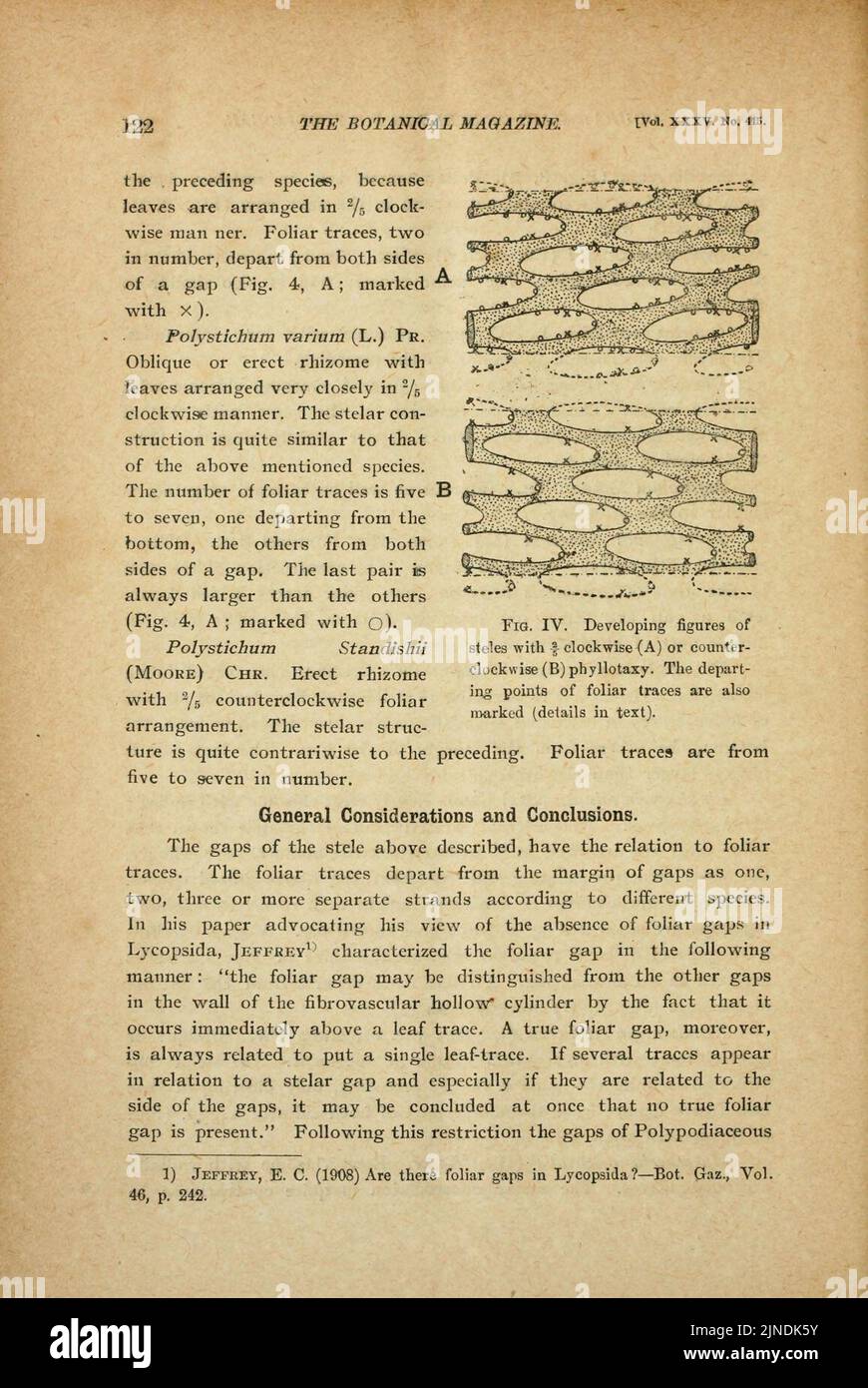 The botanical magazine = (Page 122 Stock Photo - Alamy