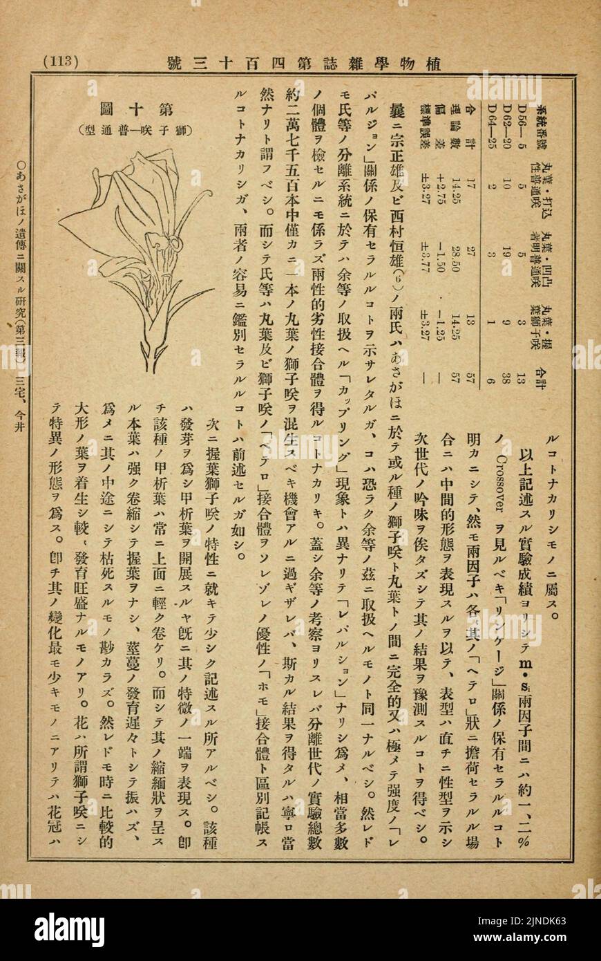 The botanical magazine = (Page 113 Stock Photo - Alamy