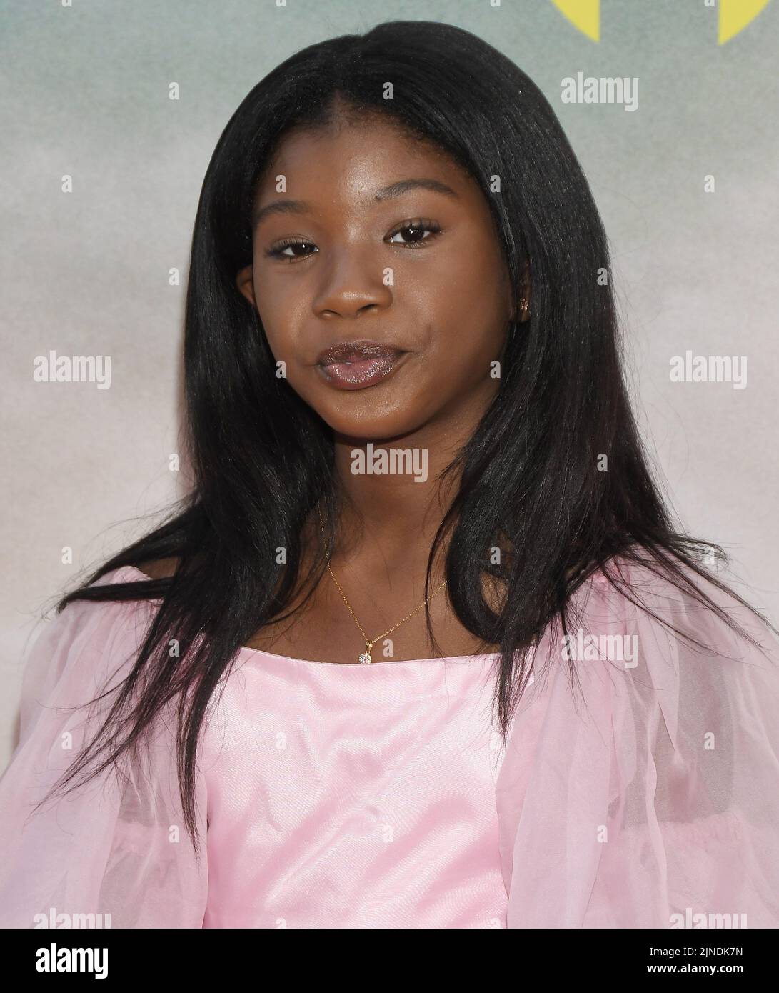 Los Angeles, USA. 10th Aug, 2022. Amani Diggs arrives at the Netflix's ...