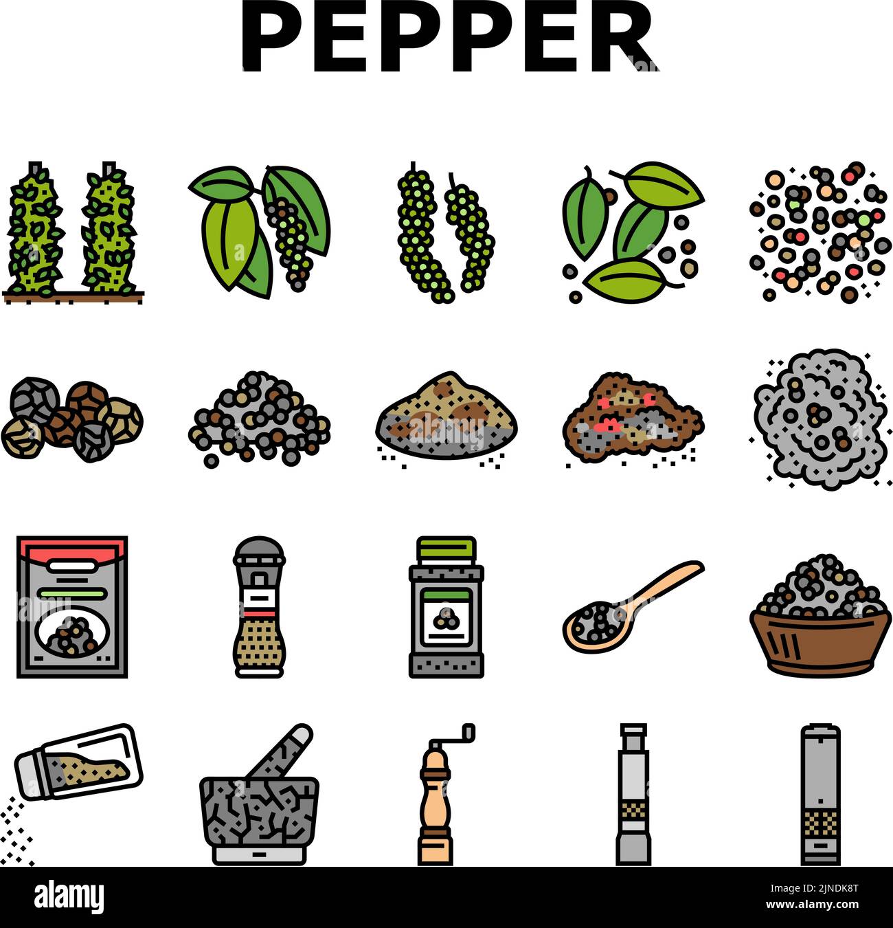 Black Pepper Aromatic Hot Spice Icons Set Vector Stock Vector Image ...