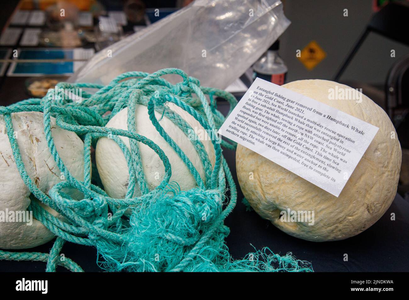 Brisbane, Australia. 11th Aug, 2022. Queensland Museum plastic ...