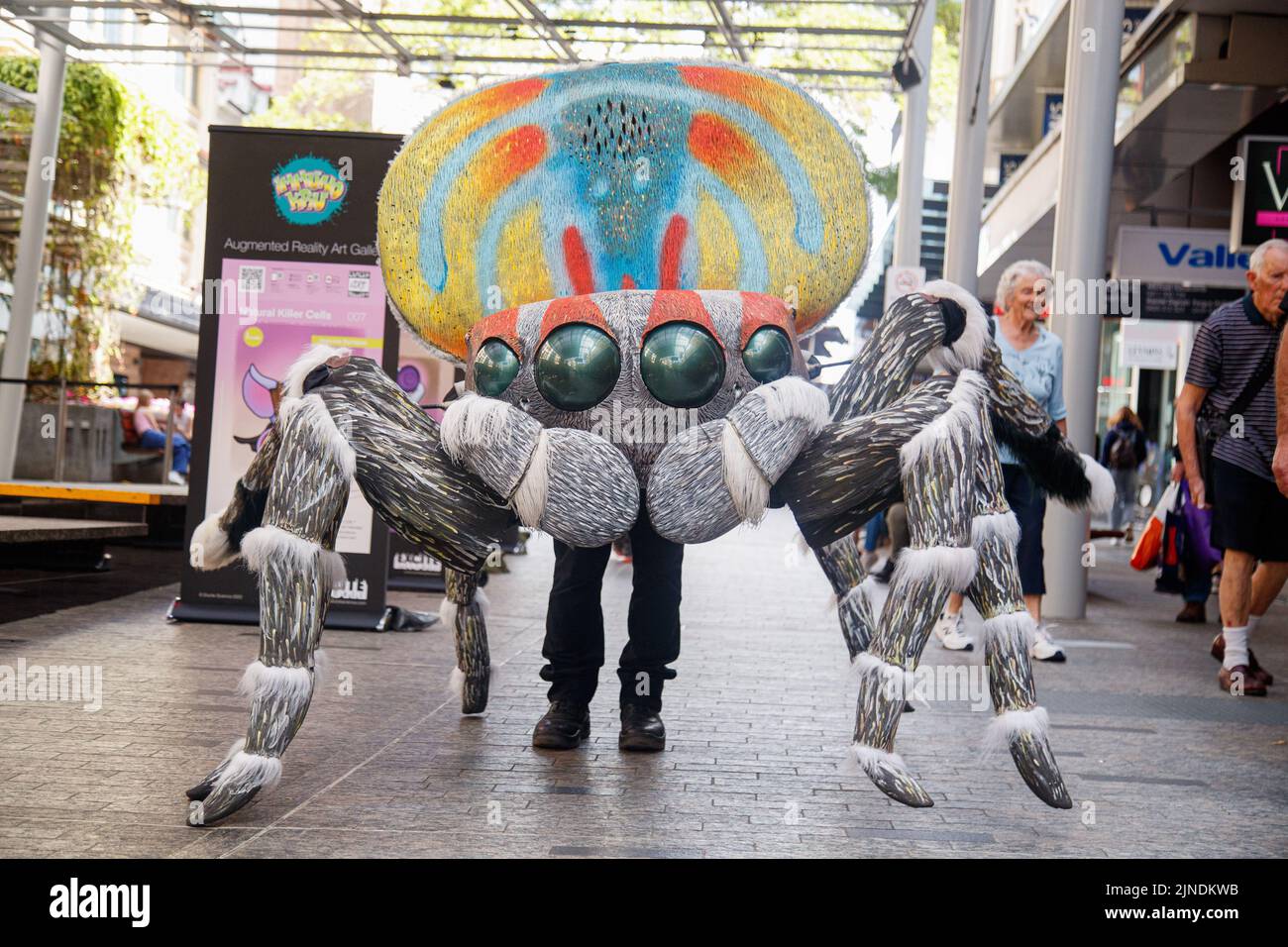 Brisbane, Australia. 11th Aug, 2022. A person performs in a giant ...