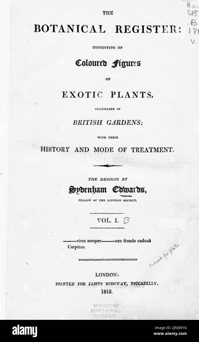 The Botanical Register Volume 1 - frontispiece Stock Photo - Alamy