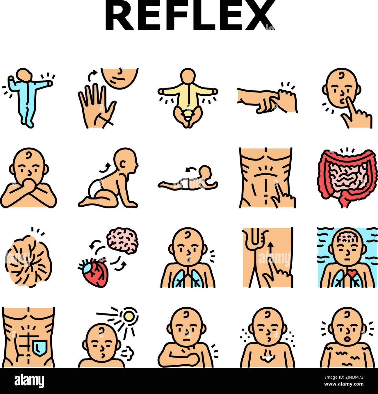 Reflex Of Human Neurology System Icons Set Vector Stock Vector Image ...