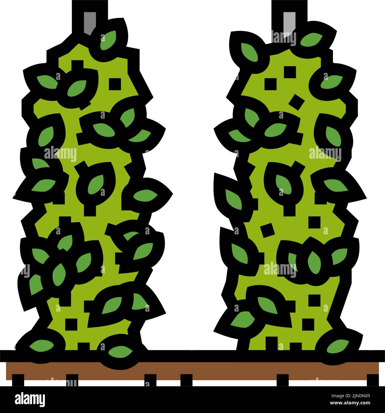 plant growing pepper color icon vector illustration Stock Vector Image ...