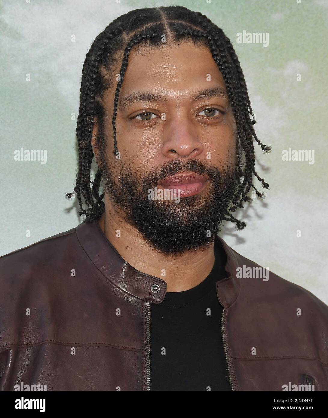 Los Angeles, USA. 10th Aug, 2022. DeRay Davis arrives at the Netflix's ...