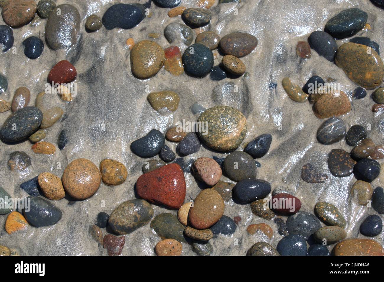 Colorful wet rocks on the shoreline of a Southern California beach in ...