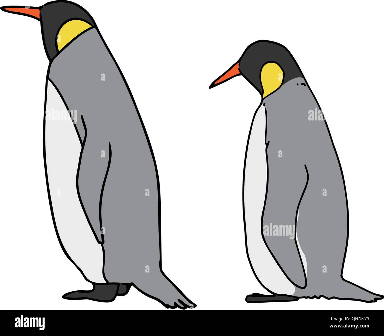 Illustration of emperor penguin Stock Vector Image & Art - Alamy