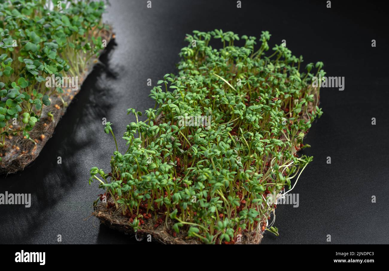 Micro natural hi-res stock photography and images - Alamy