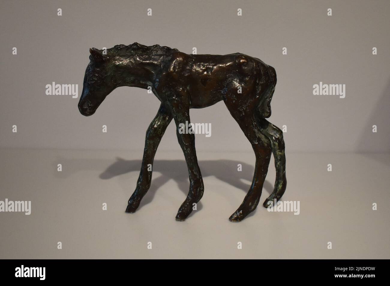 Per Hurum. Standing Foal. National Museum of Norway. 1937 Stock Photo ...
