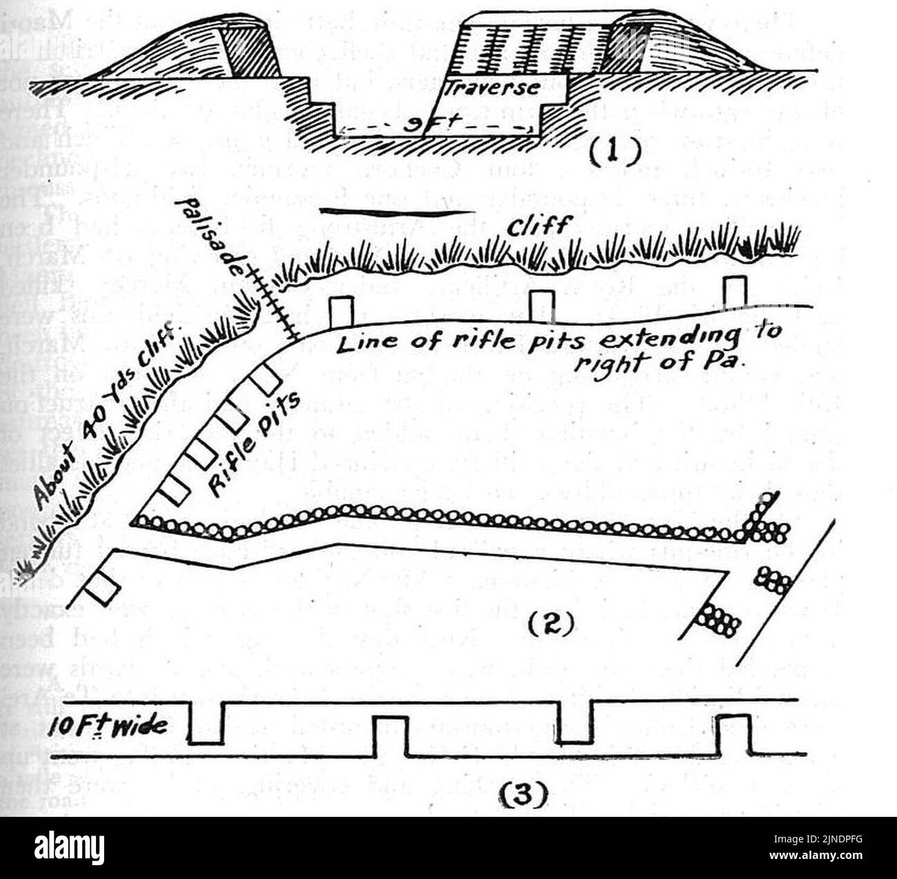 The british sap at te arei Stock Photo - Alamy