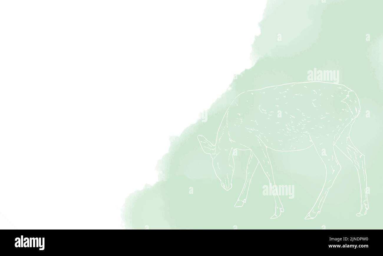 Real deer line drawing, green gradient Stock Vector Image & Art - Alamy
