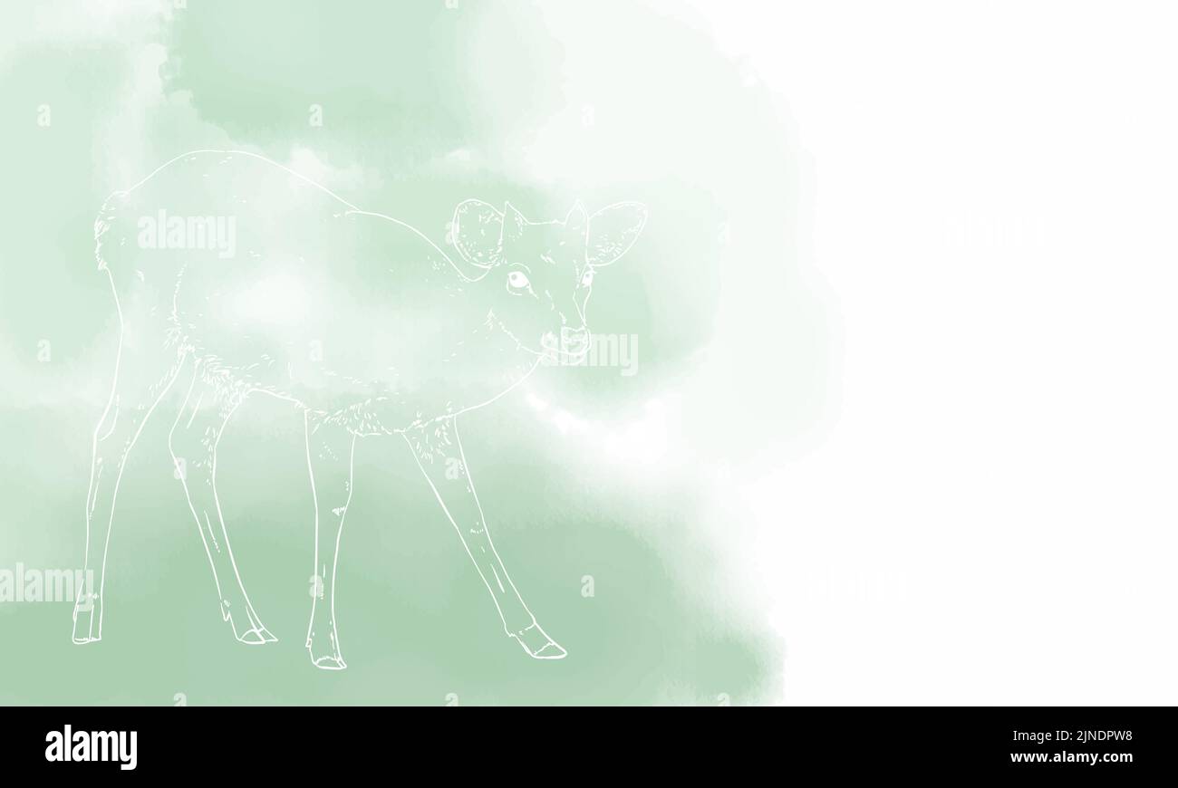 Real deer line drawing, green gradient Stock Vector Image & Art - Alamy