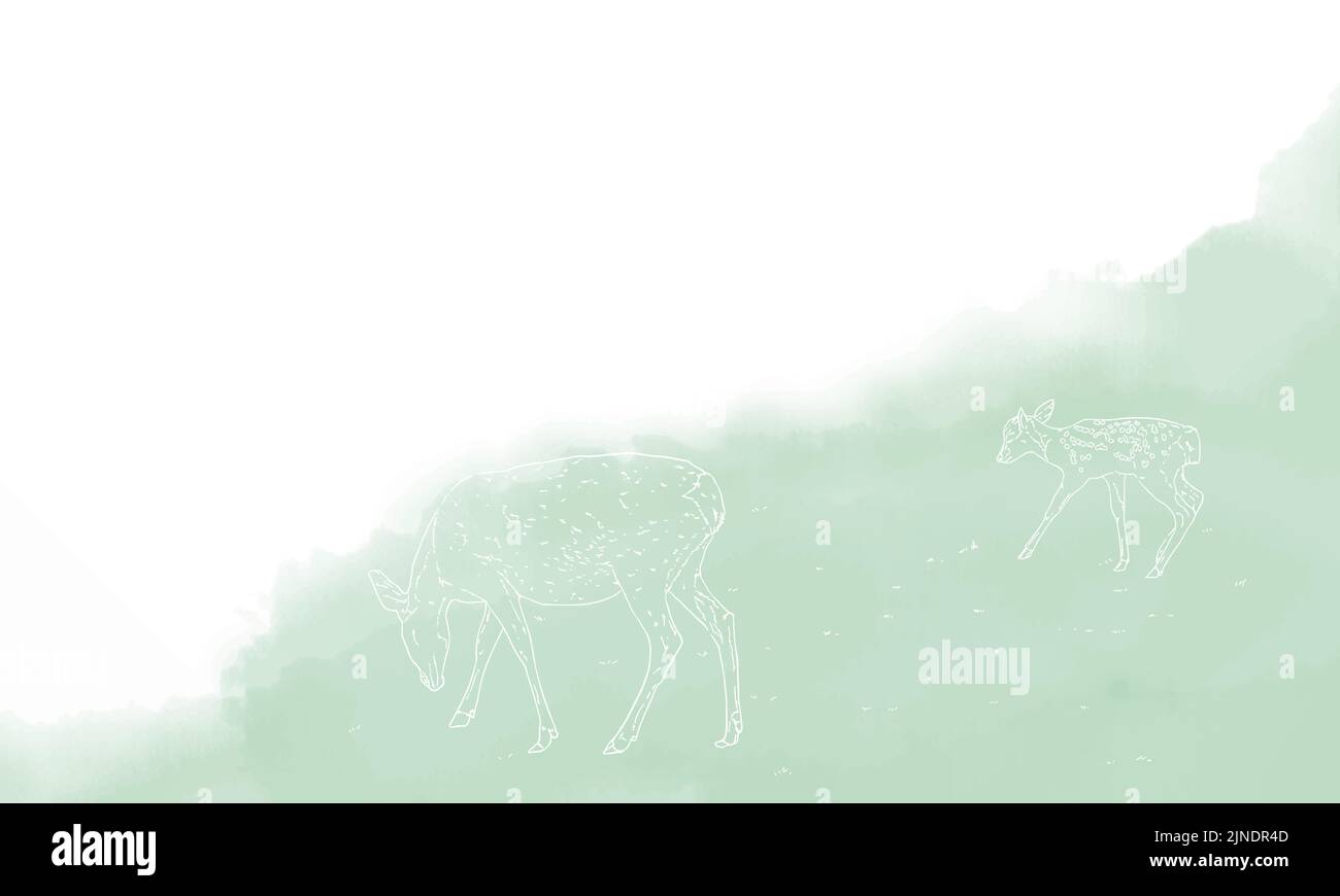 Real deer line drawing, green gradient Stock Vector Image & Art - Alamy