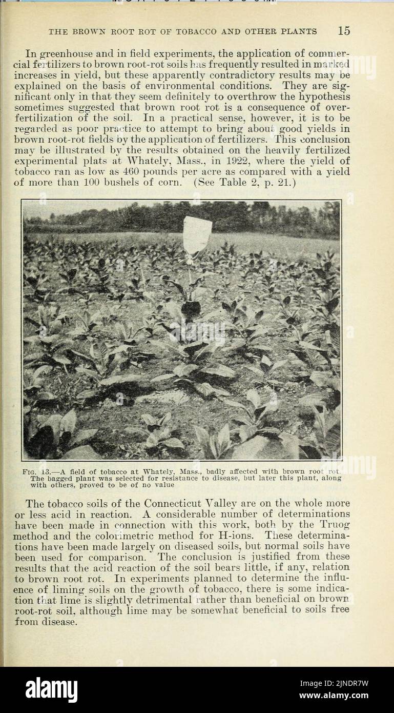 The brown root rot of tobacco and other plants (Page 15 Stock Photo - Alamy