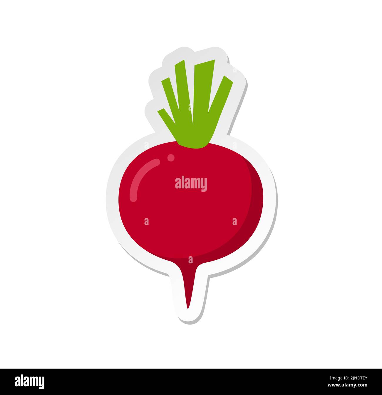 Red radish sticker. raw radish clipart icon with leaf. flat vector ...