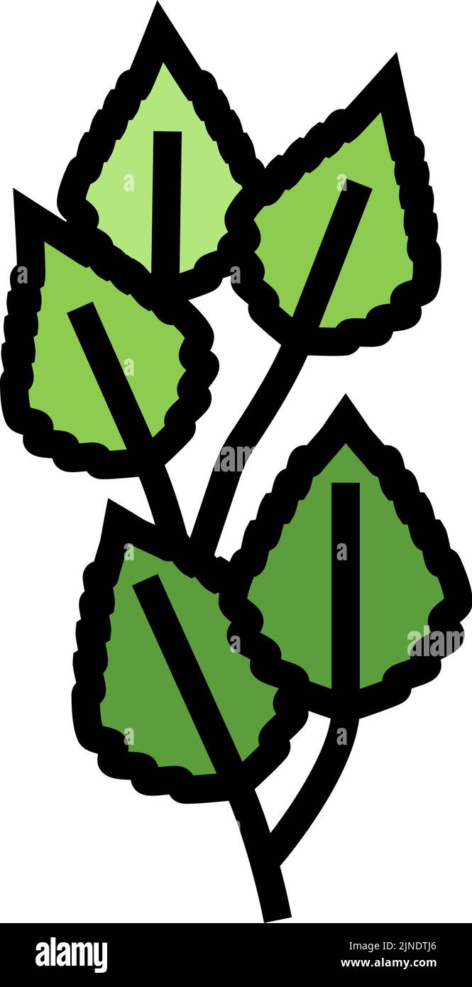 Birch tree color line Cut Out Stock Images & Pictures - Alamy