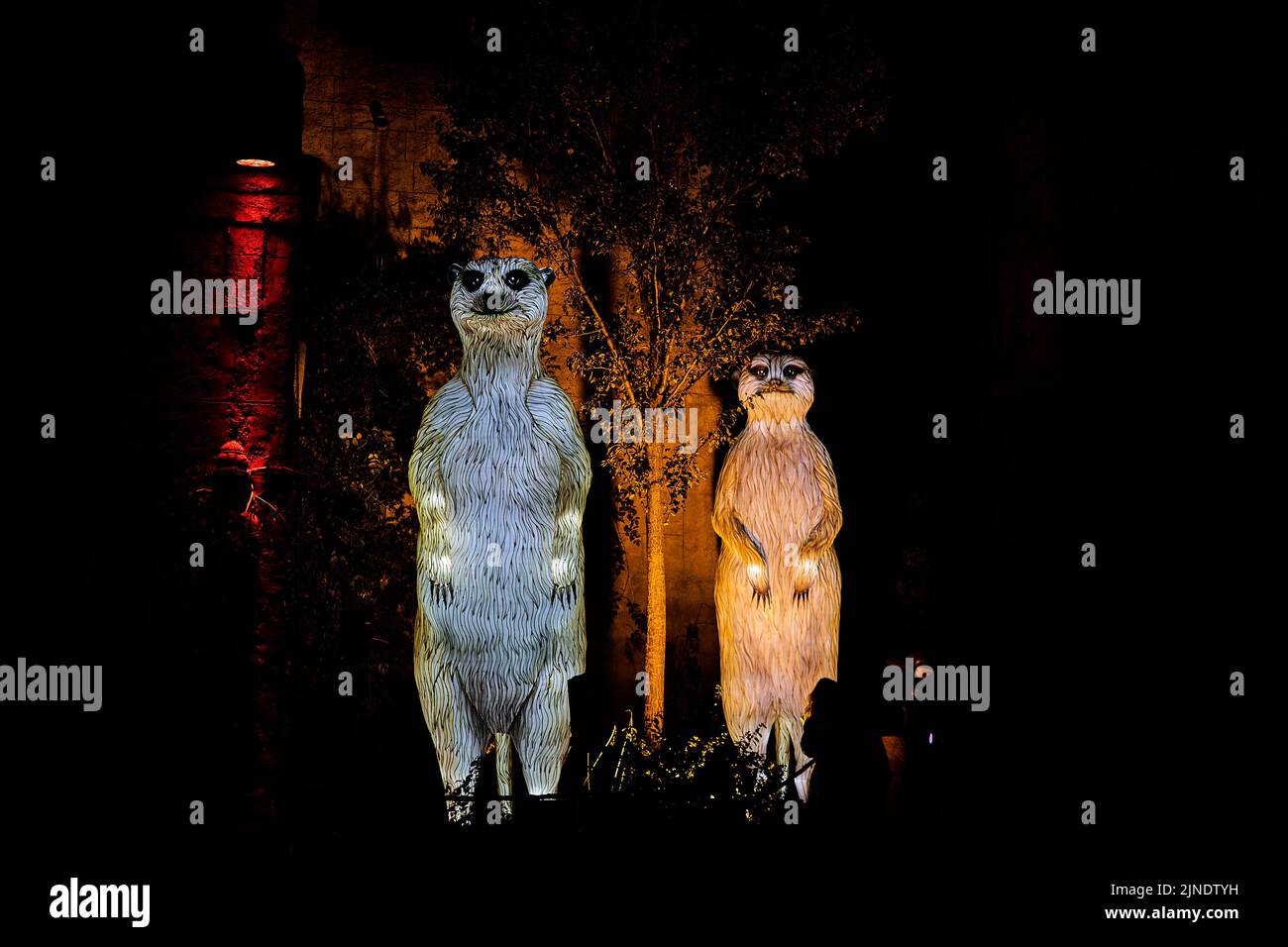 Osabrueck, Germany - 09 19 2020: Illuminated Sculpture at zoo lights ...