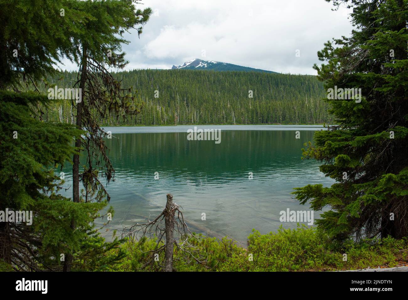 Bobby Lake, in the Deschutes National Forest, with Maiden Peak in the ...