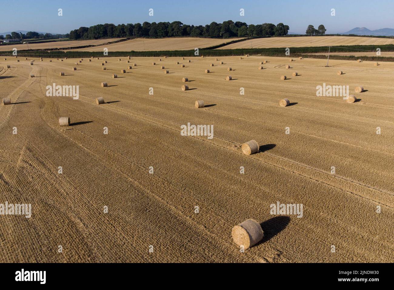 Felton Butler, Shropshire, England, August 11th 2022. - Hundreds of hay ...
