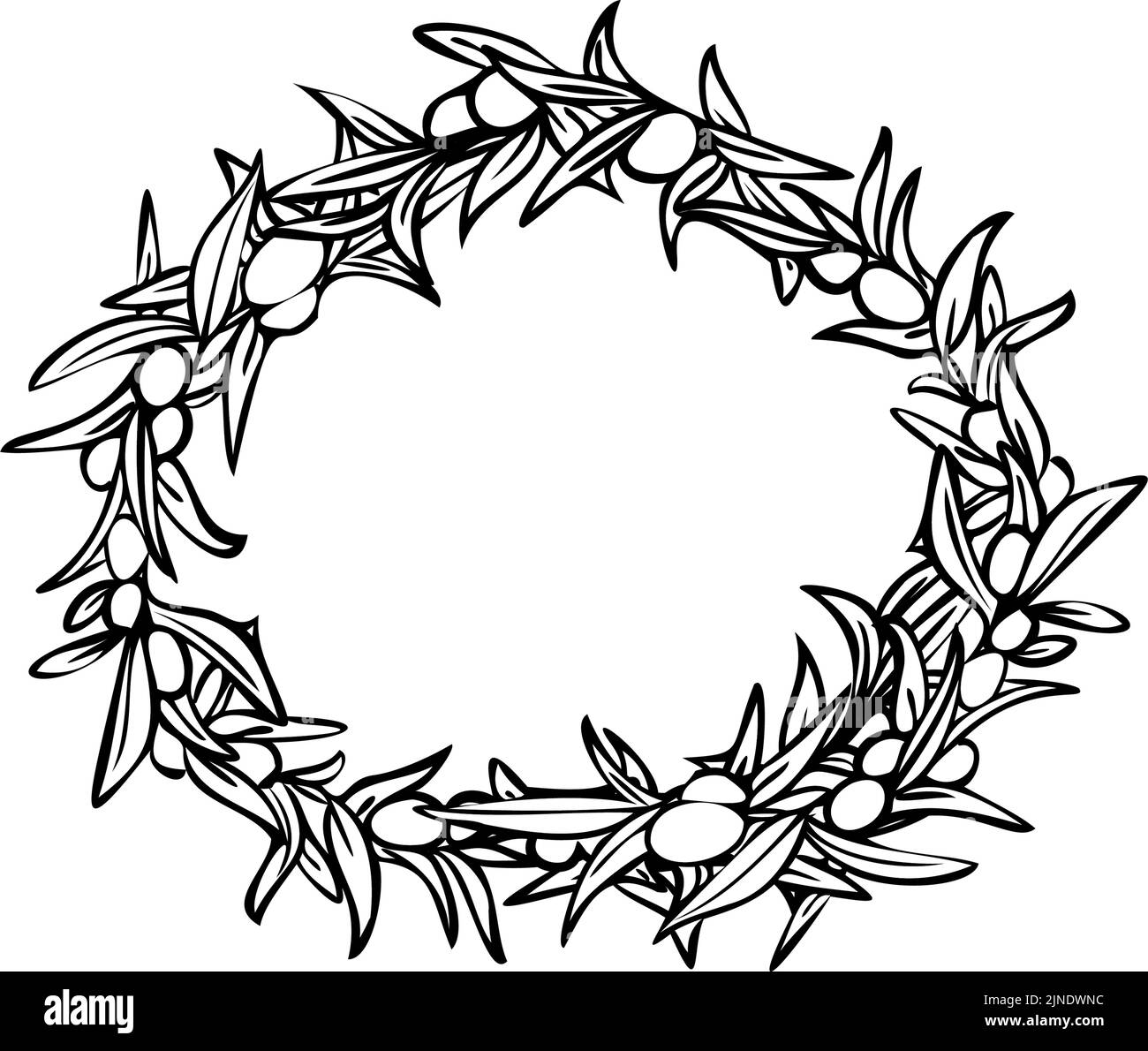 Leaf line drawings Cut Out Stock Images & Pictures - Alamy