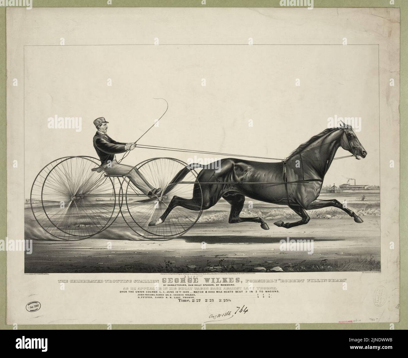 The celebrated trotting Stallion George Wilkes, formerly ''Robert ...
