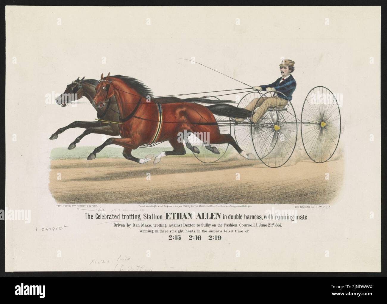 The celebrated trotting Stallion Ethan Allen in double harness, with ...