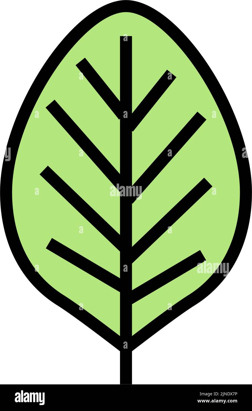 teak leaf color icon vector illustration Stock Vector Image & Art - Alamy