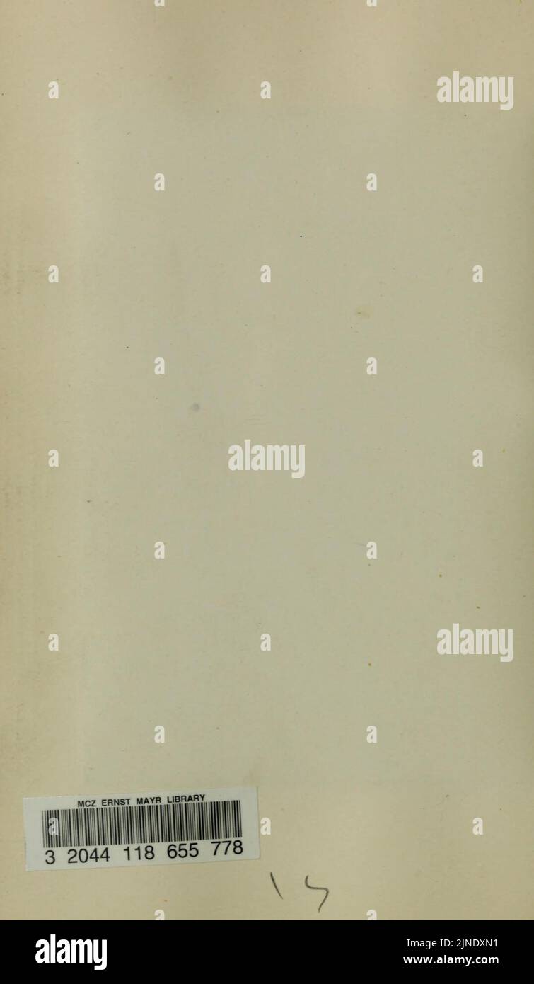 The chalk and flint formation Stock Photo - Alamy