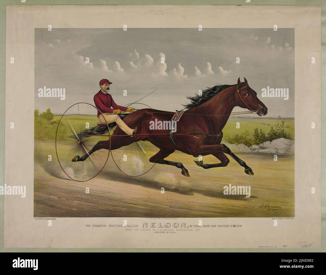 The champion trotting Stallion Nelson, by Young Rolfe, dam Gretchen by ...