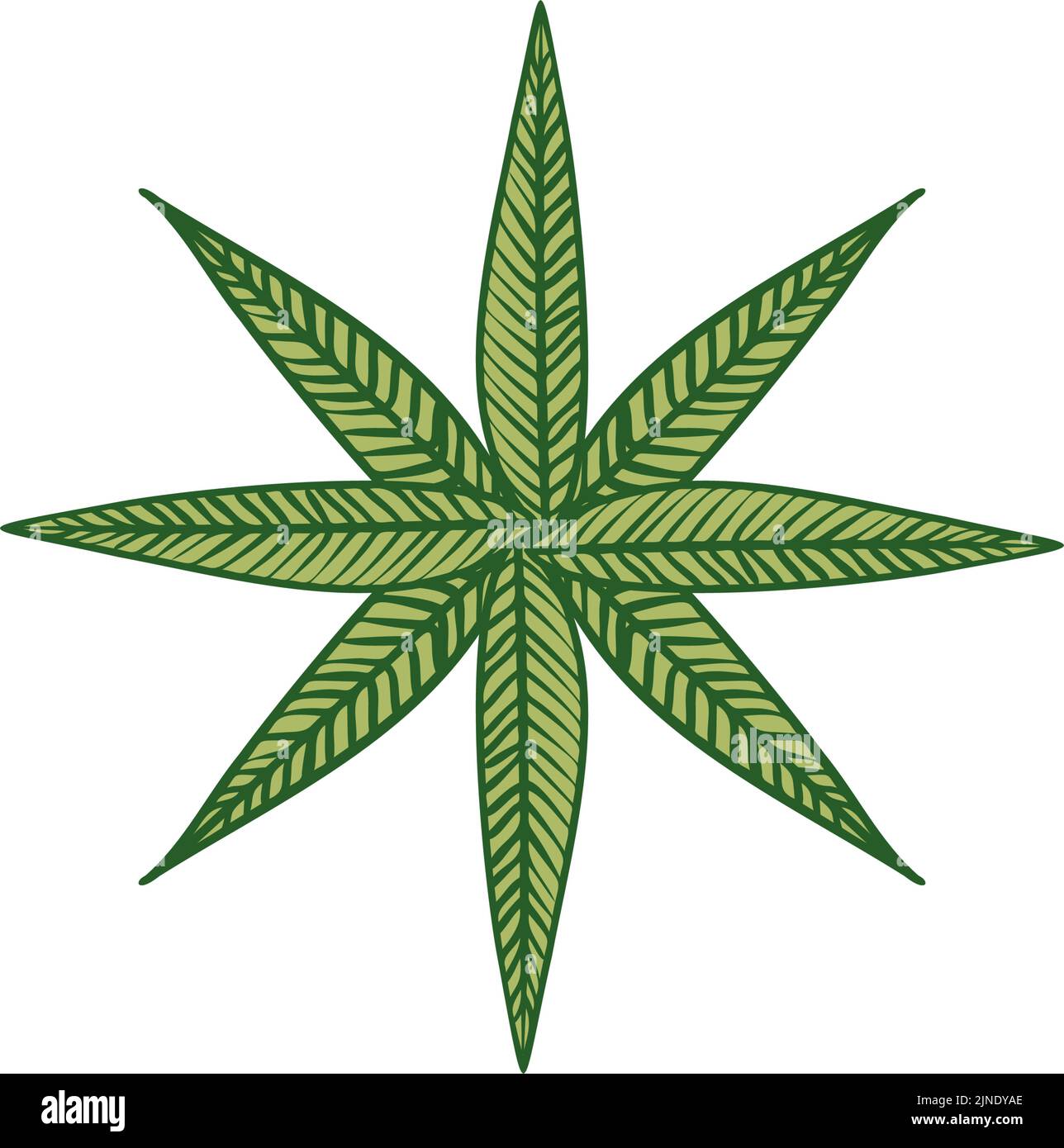 Botanical illustrations: leaves, veins, primitive images Stock Vector ...