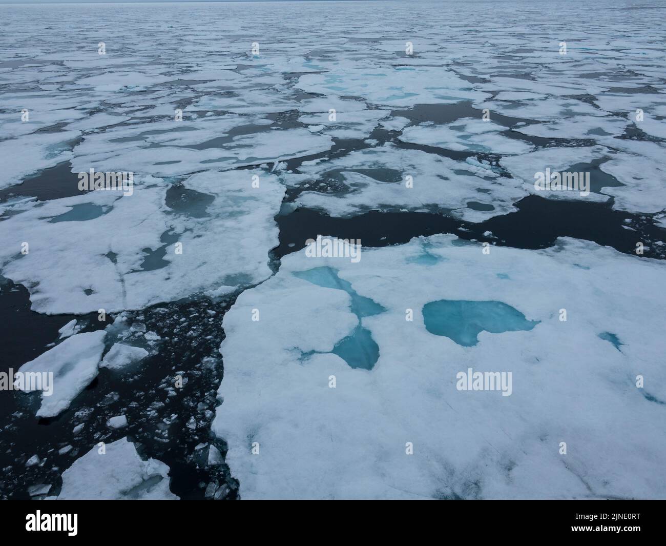 Floating Pack Ice in the arctic ocean. The snow covered blue glacial ...