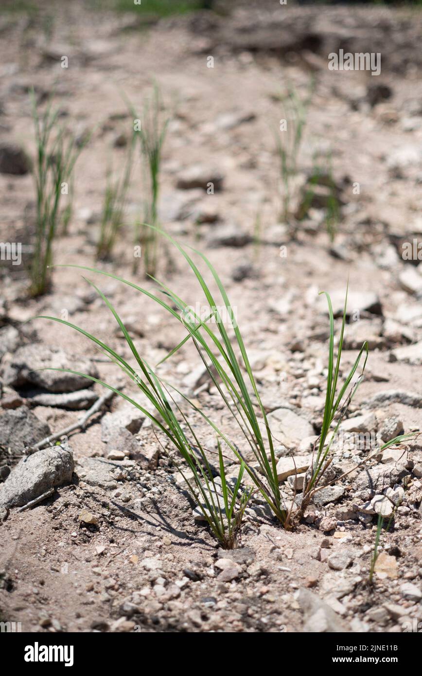 Morvan massif hi-res stock photography and images - Alamy