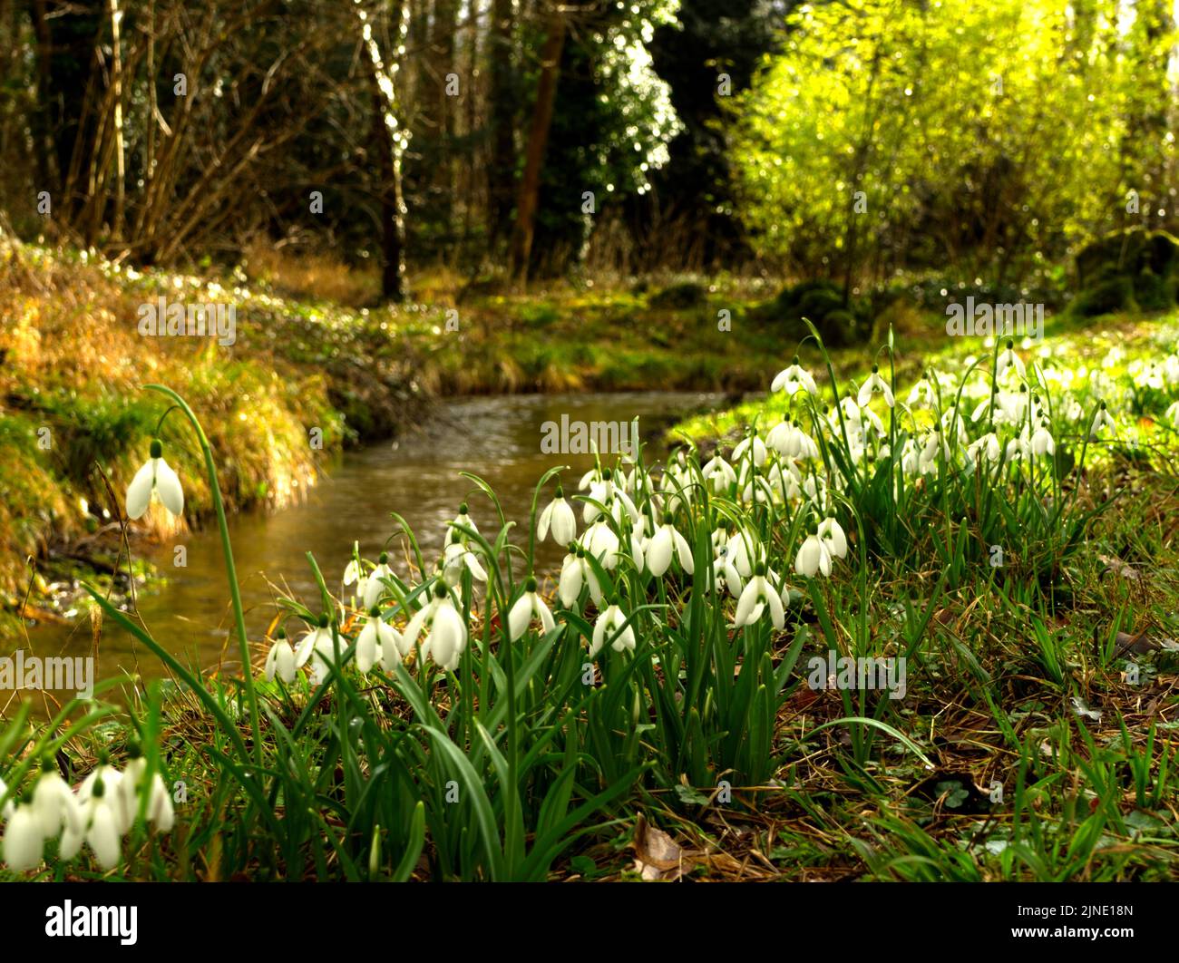 English garden stream winter hi-res stock photography and images - Alamy